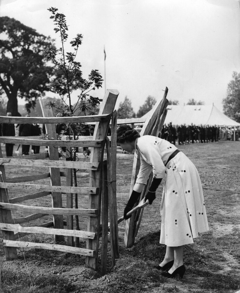 Queen Elizabeth II - Windsor Great Park