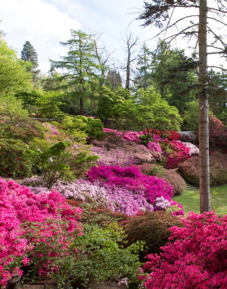 Welcome to Windsor Great Park