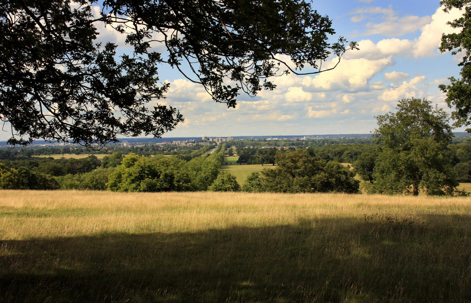 FAQ's - Windsor Great Park