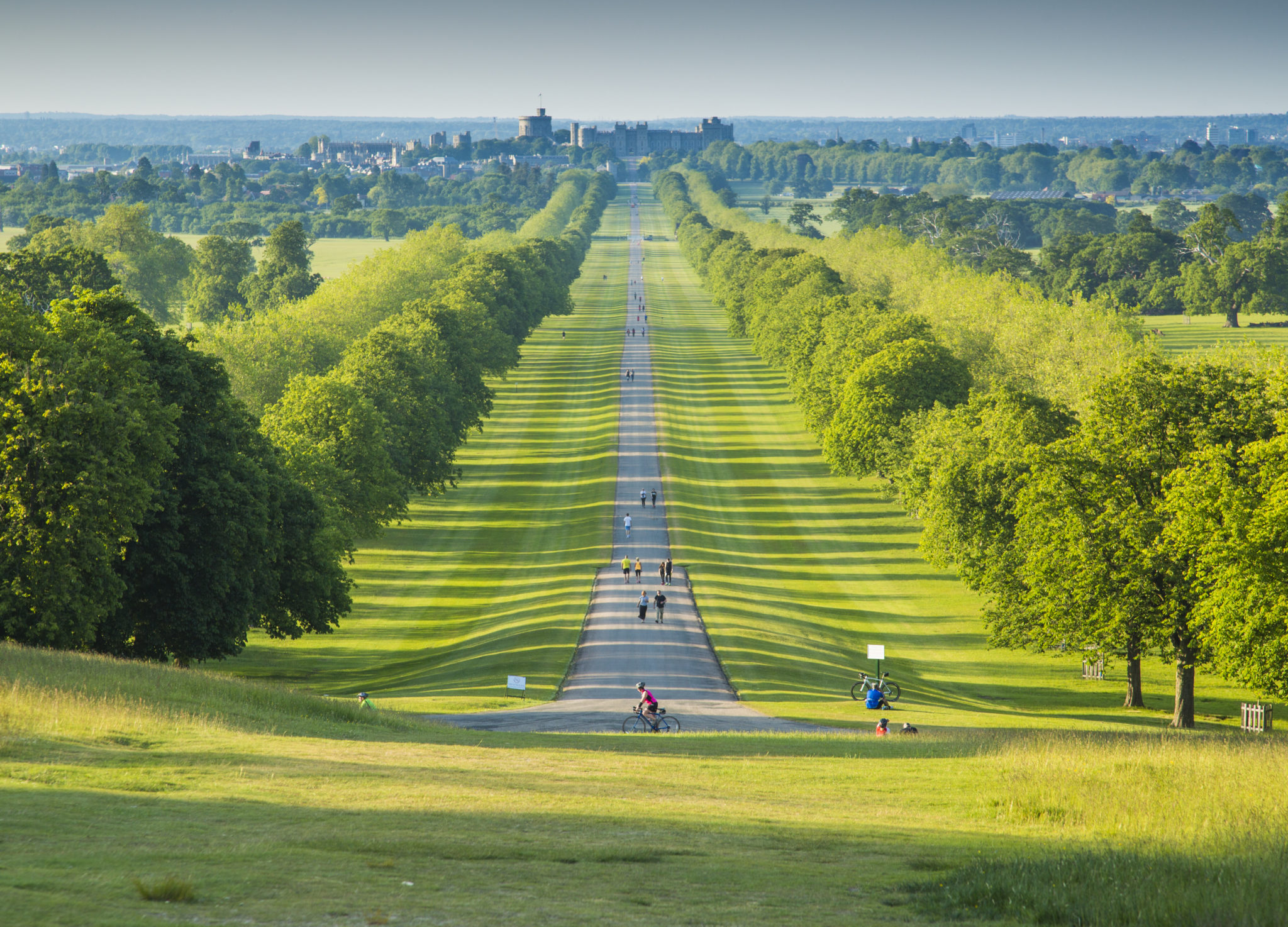 Our story - Windsor Great Park