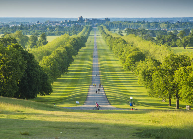 Our story - Windsor Great Park