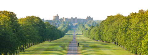 Park map & guide - Windsor Great Park