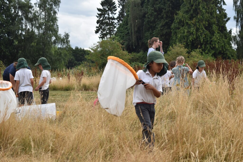 The Wildlife Trust (BBOWT) - Windsor Great Park
