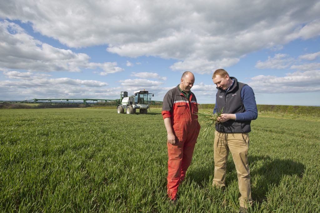 The Estate - Windsor Great Park