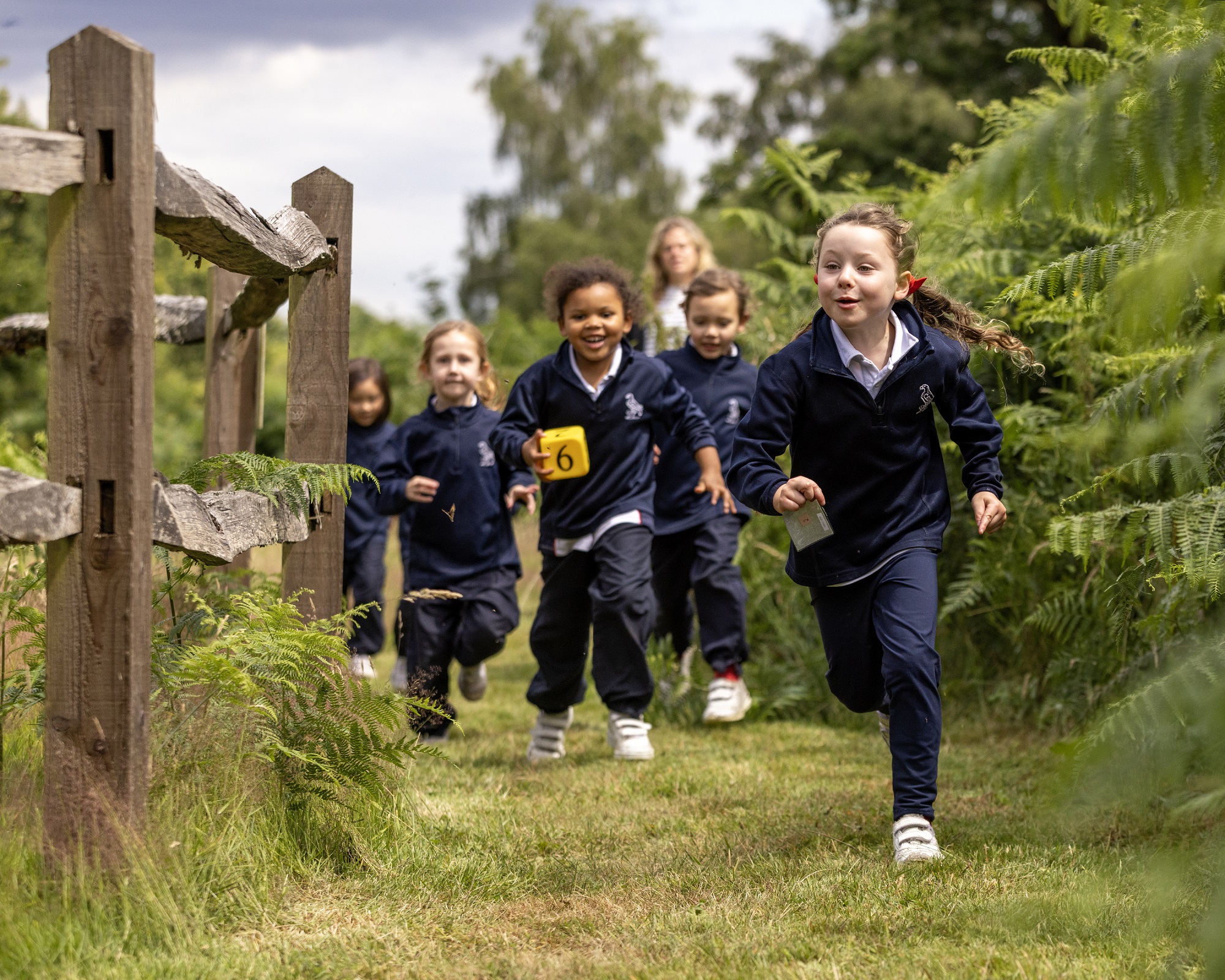 Book Tickets - Windsor Great Park