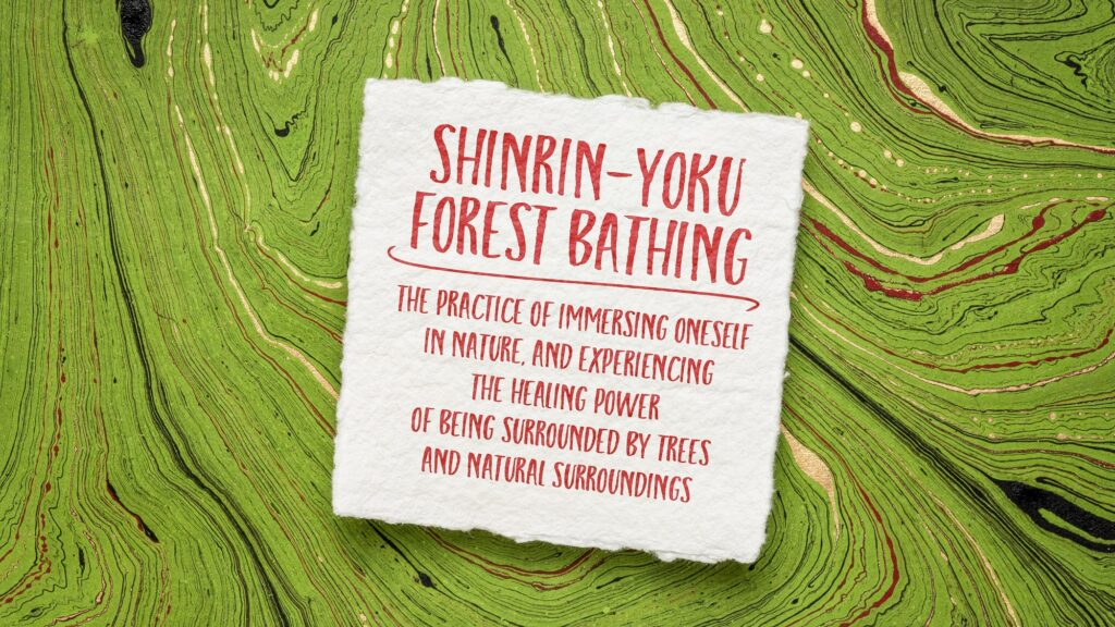 Shinrin-Yoku, a walk in the forest for mental well-being - Windsor ...