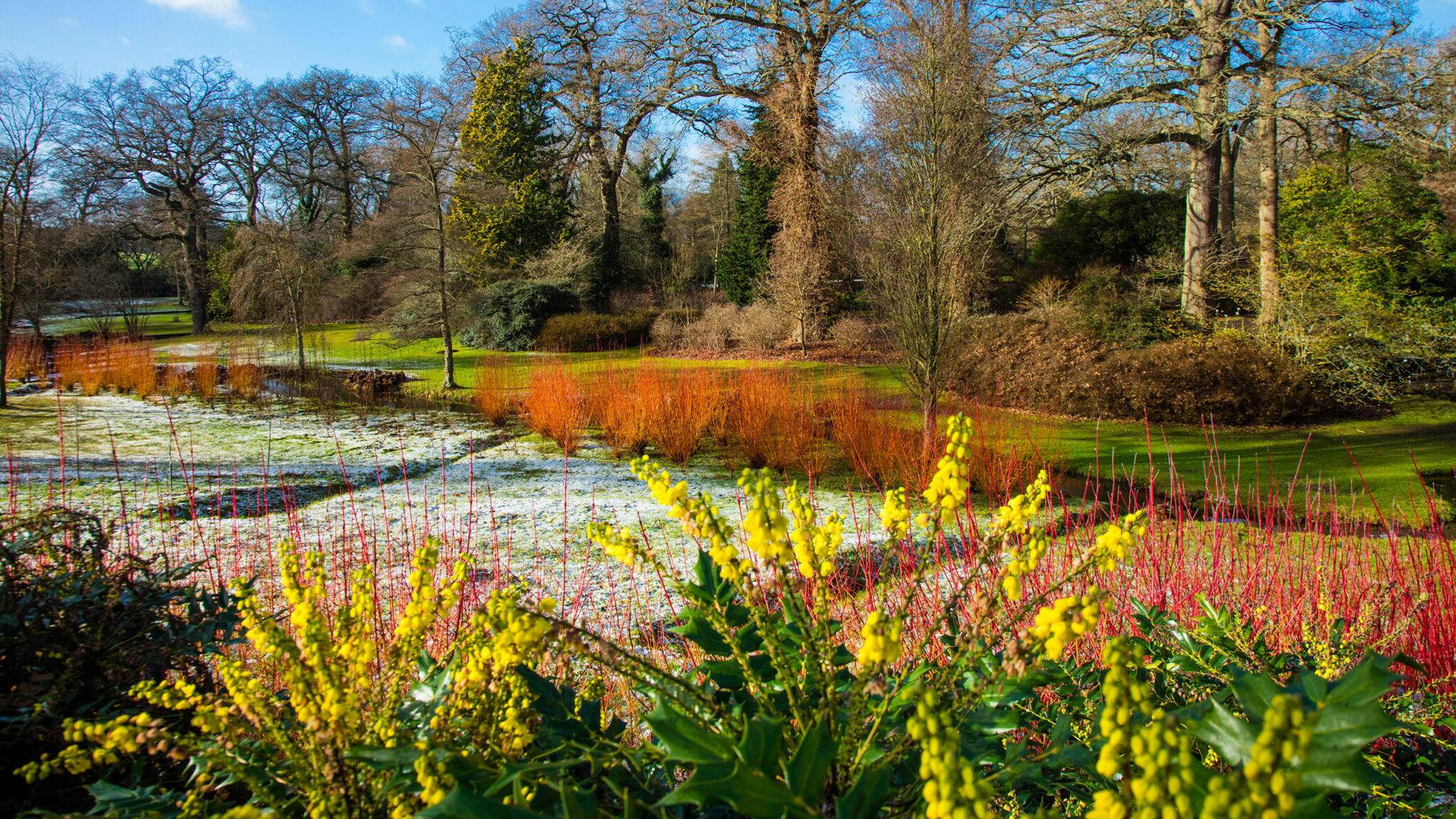 Welcome to Windsor Great Park