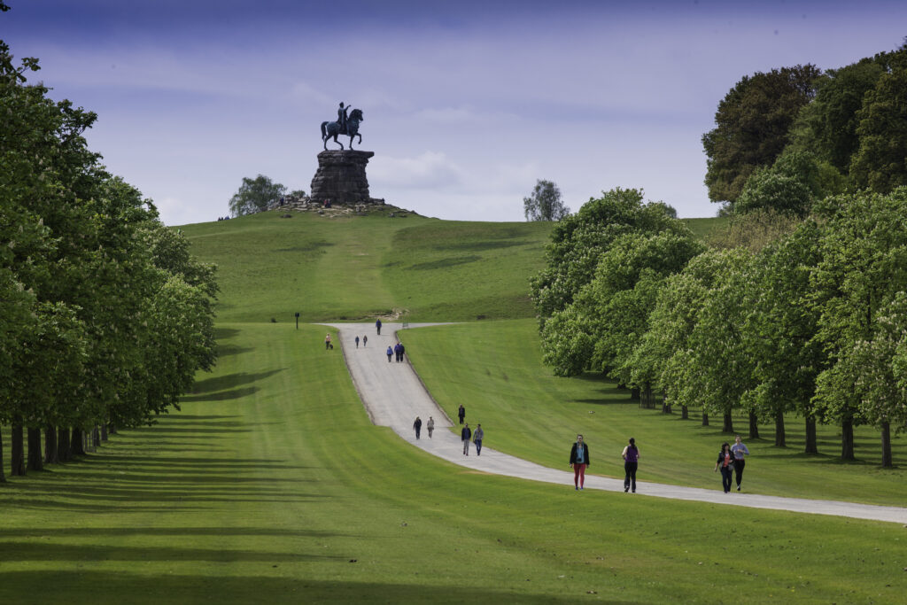 The Story of The Long Walk - Windsor Great Park