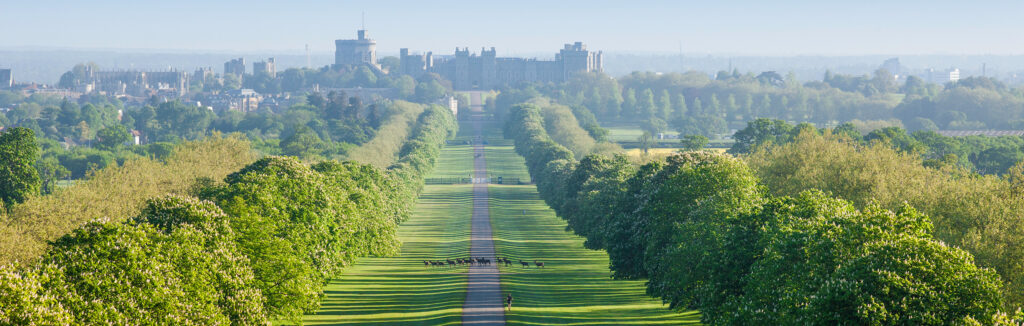 The Story of The Long Walk - Windsor Great Park